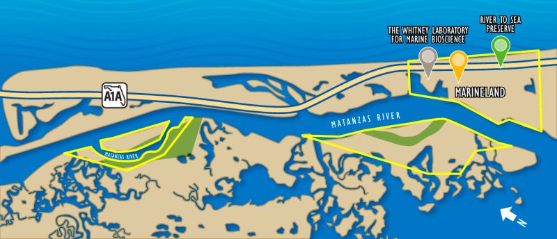 ABOUT – Town of Marineland, Florida